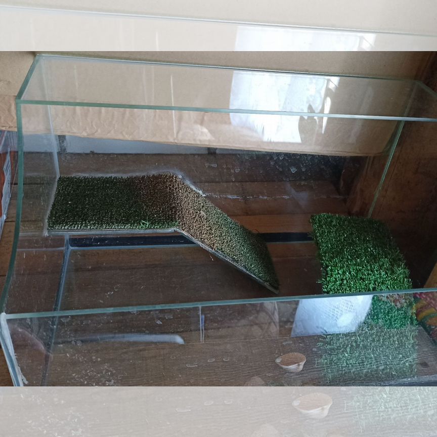 Аквариум для черепах