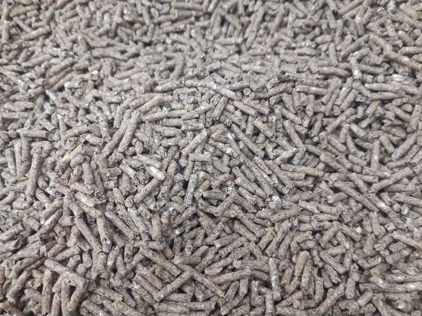 Смесь зерновая для кур "сибагрокорм"