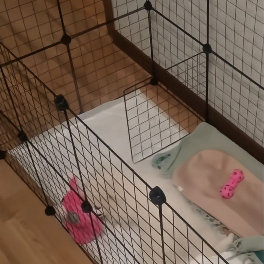 Вольер для собак