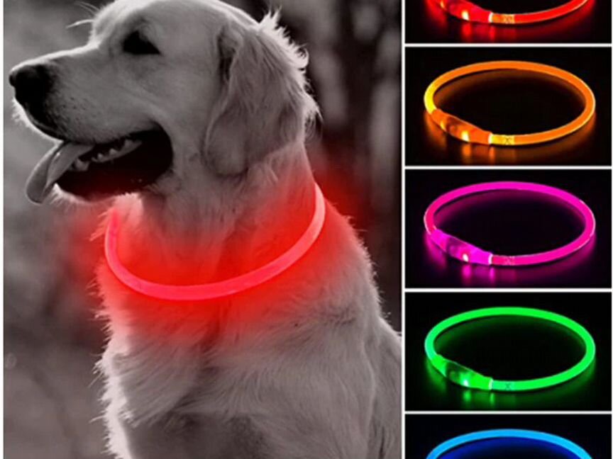 Ошейник для собаки со светодиодной подсветкой