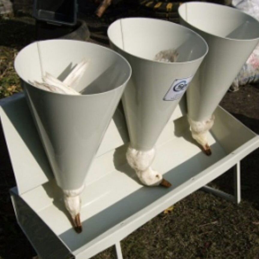 Стойка для убоя птицы "Спрут-3Л"