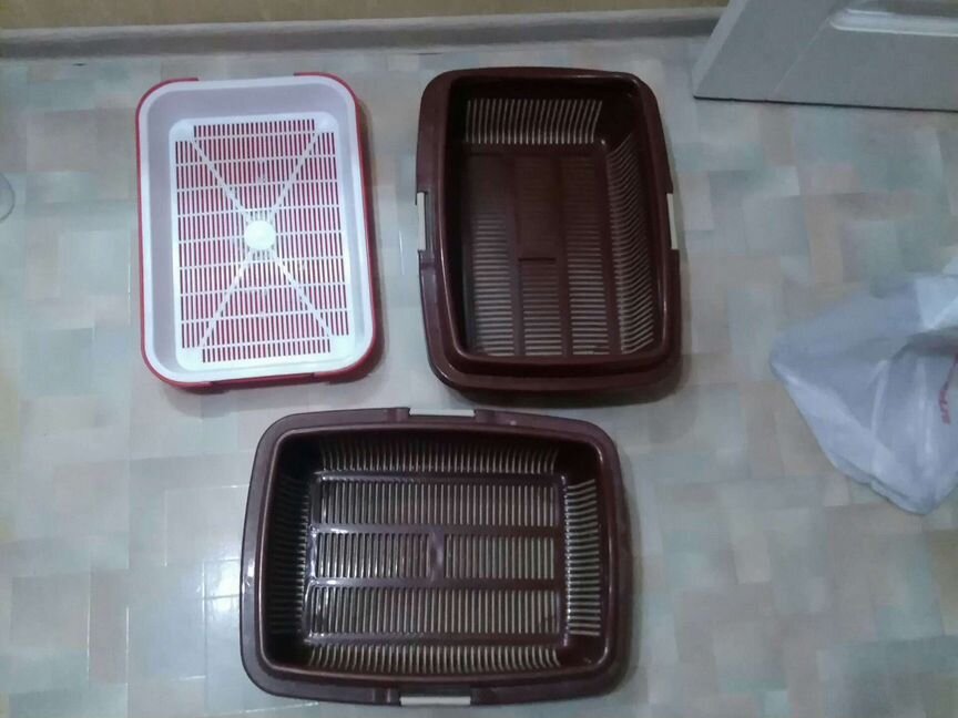 Лотки, мисочки для кошек