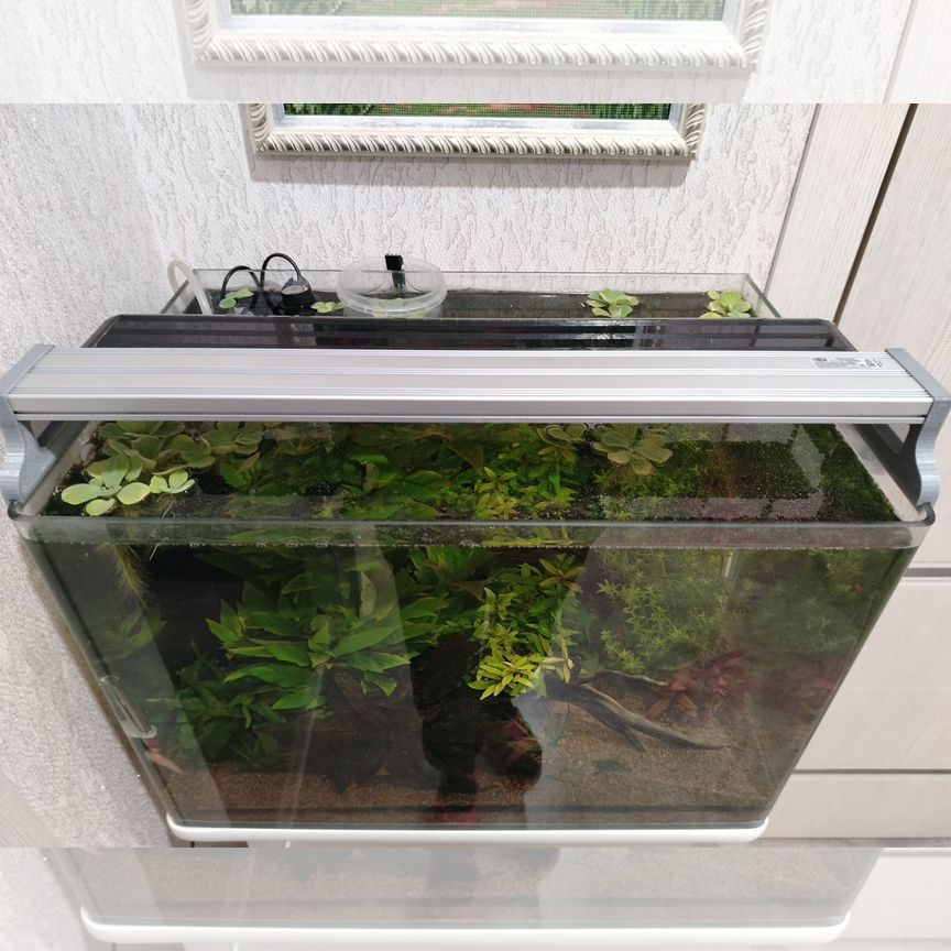 Обмен светильник биодизайн новый 50см на растения