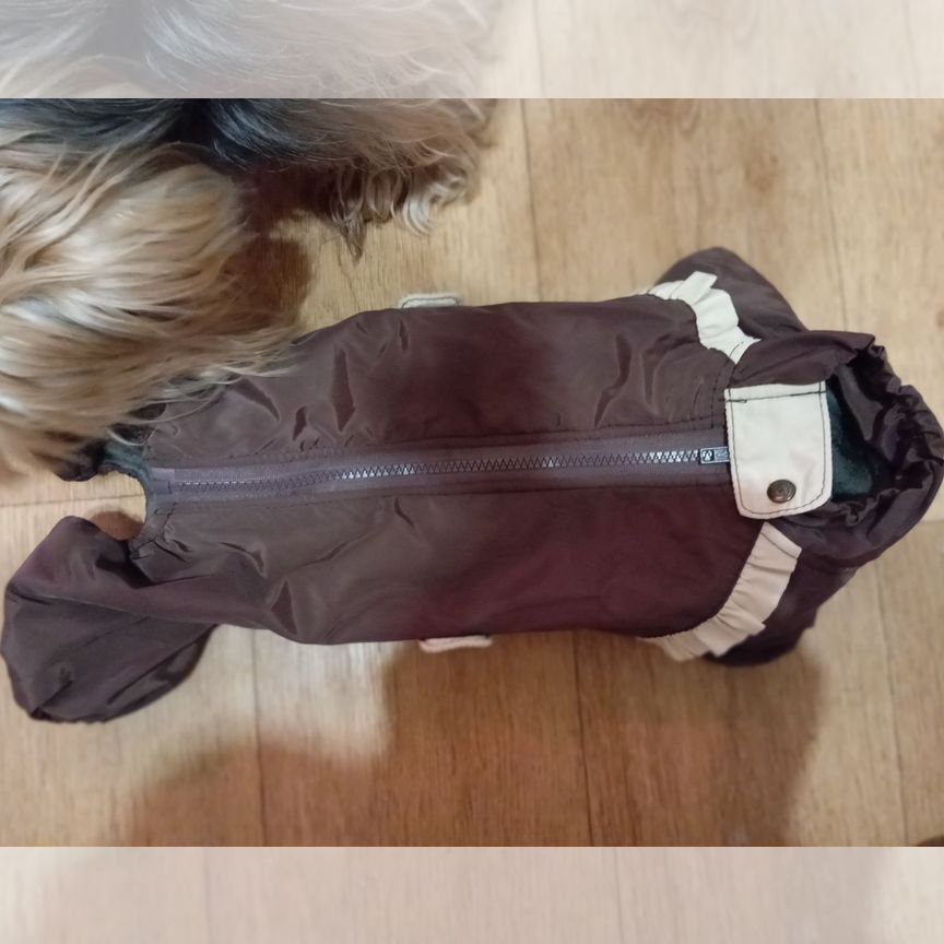 Одежда для собак мелких пород девочка