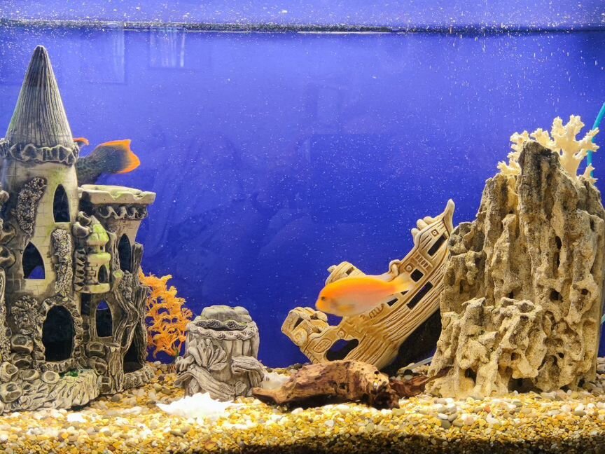 Аквариум с тумбой, рыбками и оборудованием на 230л