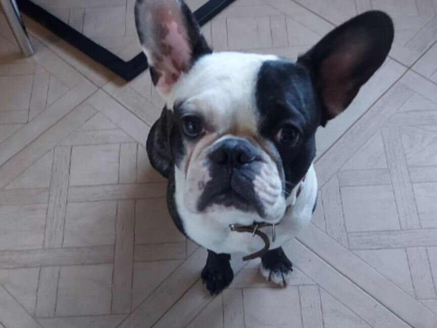 Ищем невесту