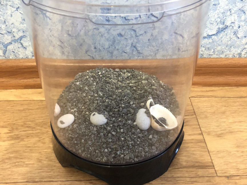 Аквариум для рыбок 5,2 литра (полный комплект)