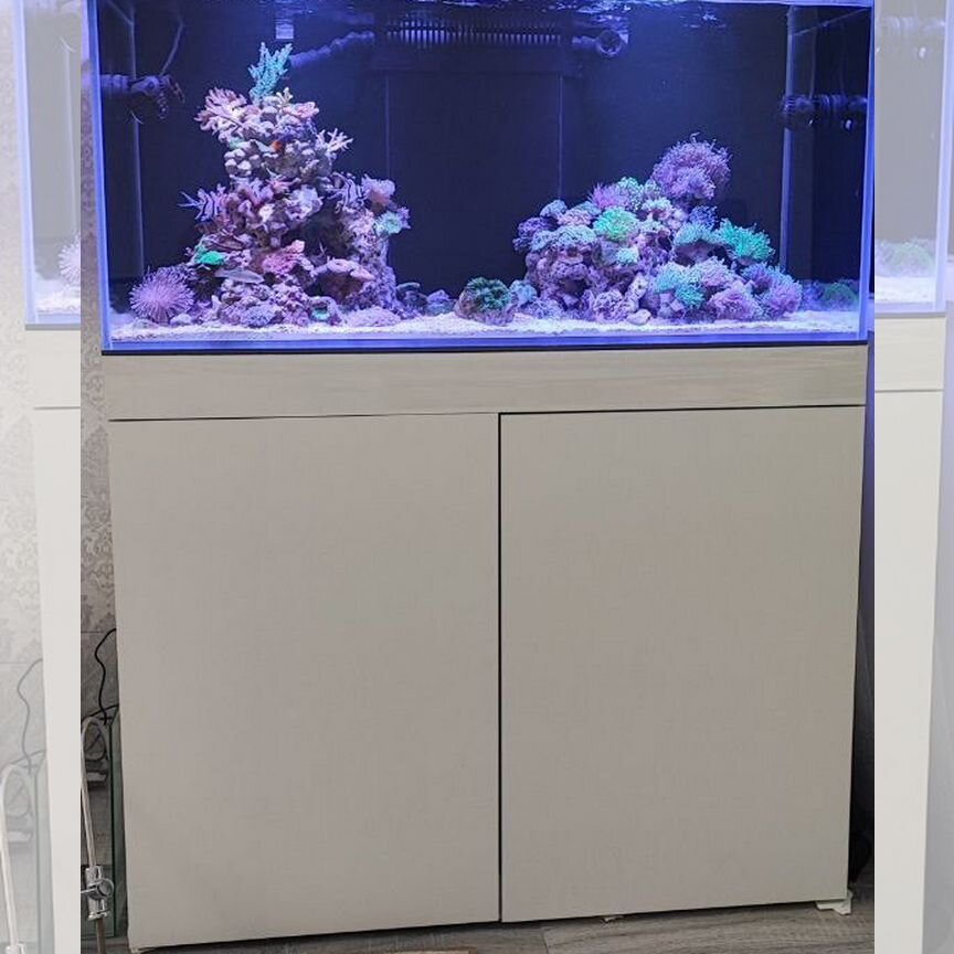 Морской аквариум