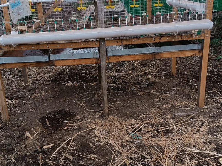 Кормушка для куриц