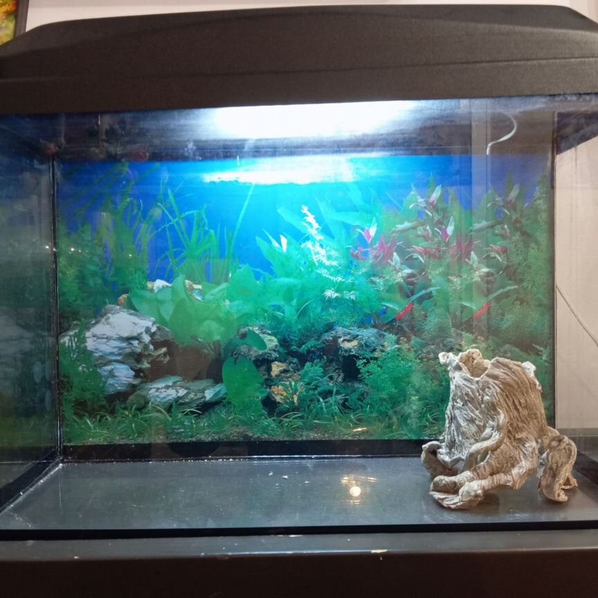 Аквариум 75 литров