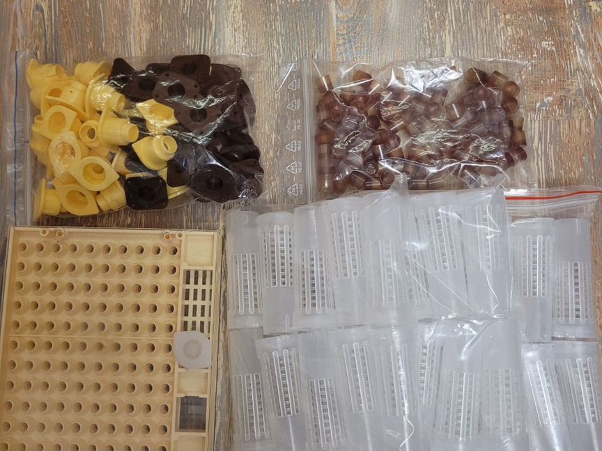 Система Никот