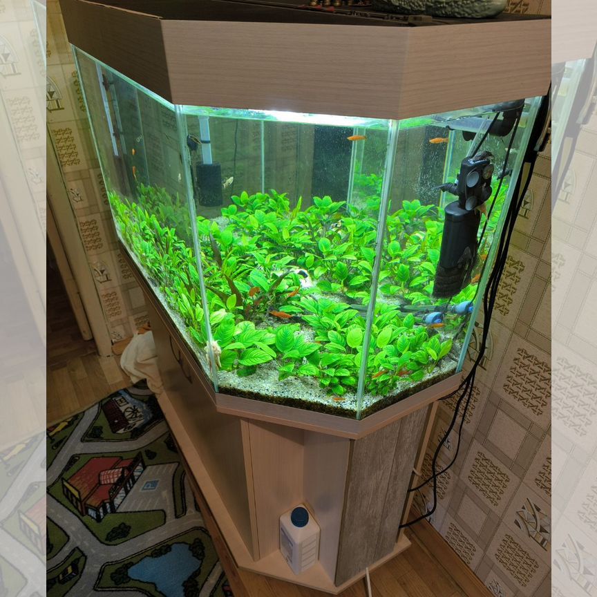 Аквариум с тумбой