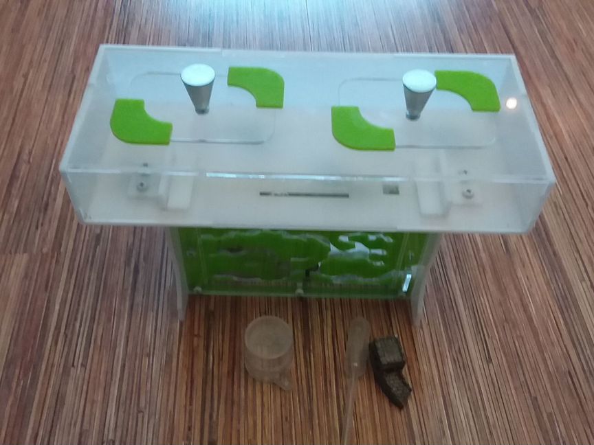 Формикарий муравьиная ферма AntPlanet