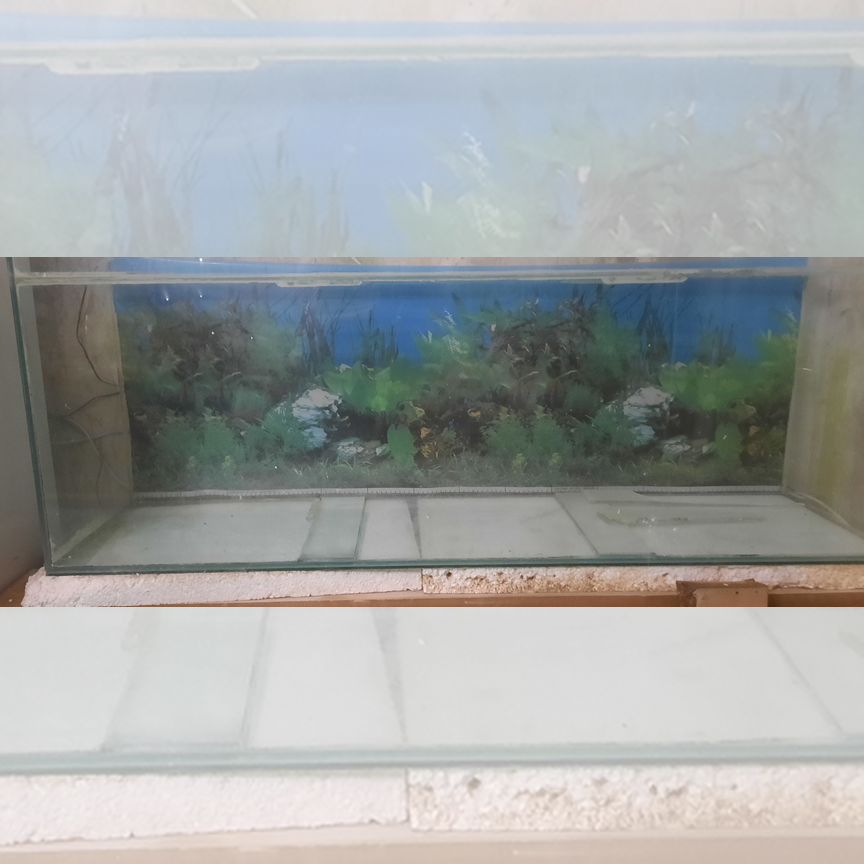 Аквариум террариум