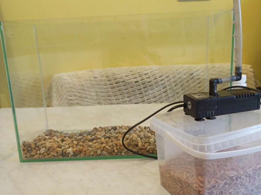 Оборудование для аквариума