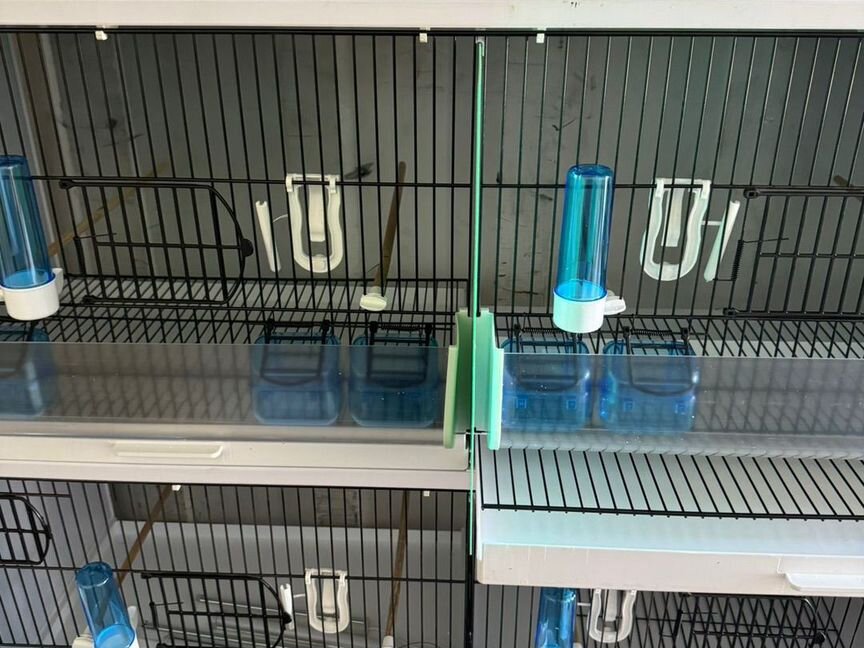 Боокс для птиц клетка для птиц