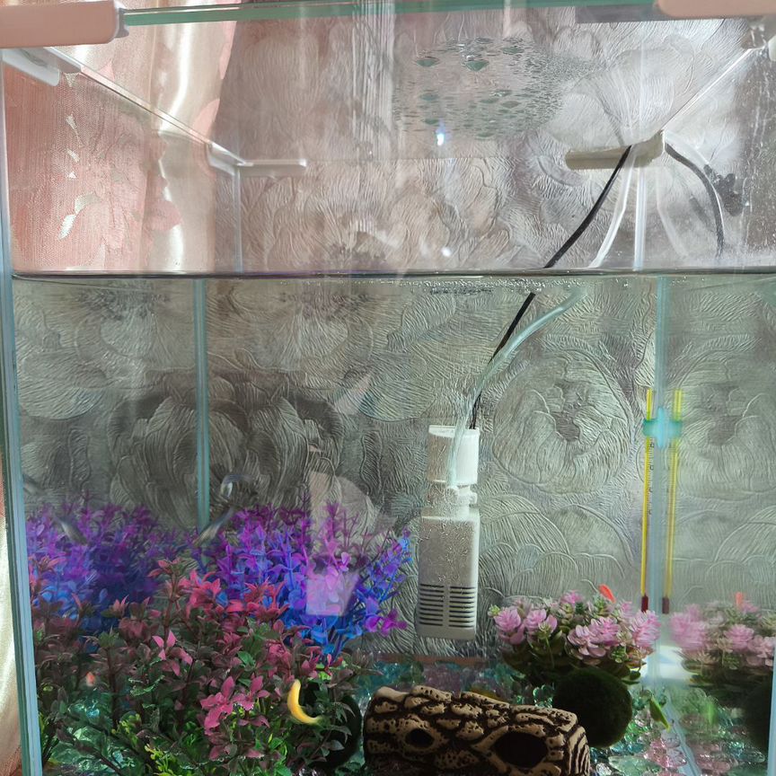 Готовое решение для начинающего аквариумиста