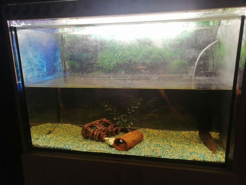 Аквариум 120литров с рыбами