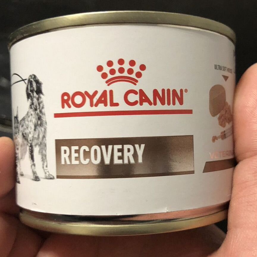 Royal canin recovery корм для кошек и собак