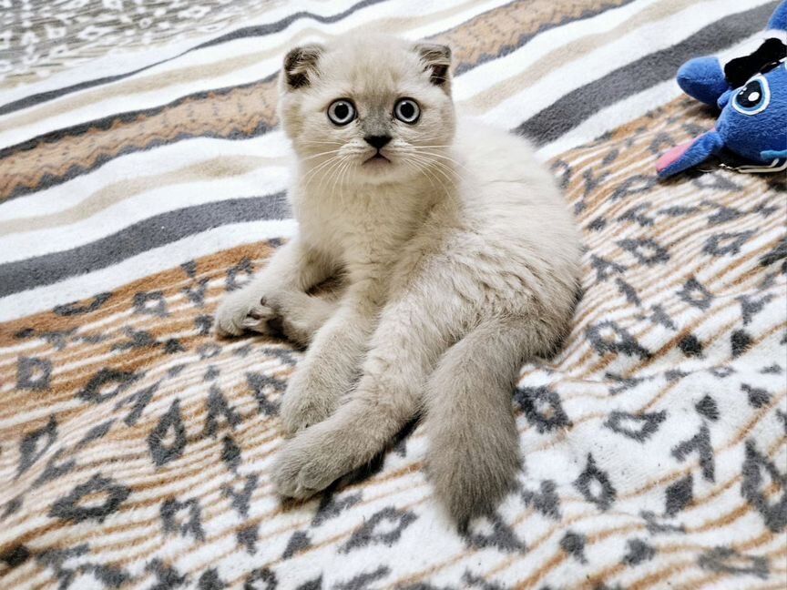 Само совершенство