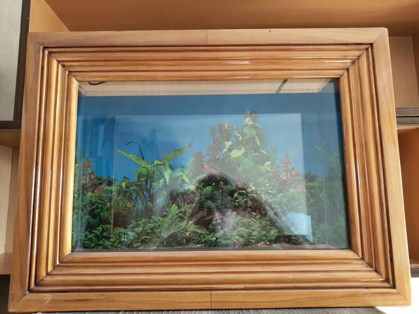 Аквариум настенный б/у в деревянной раме