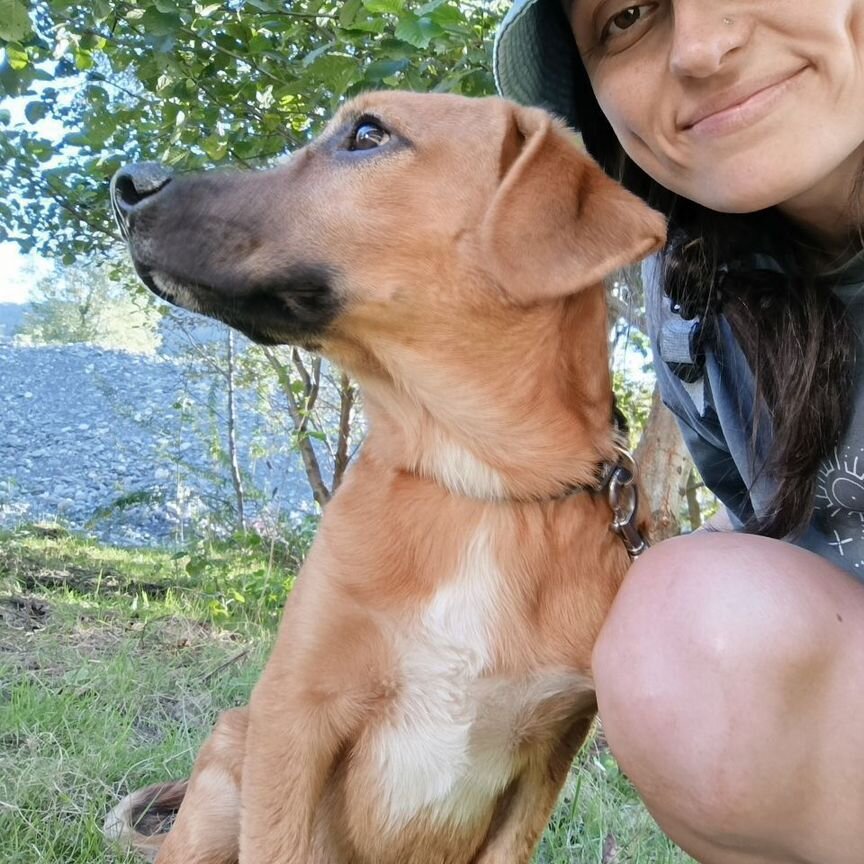 Молодой Тайсон в добрые руки