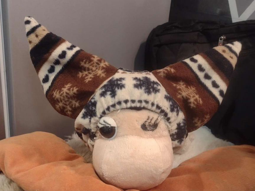 Шапка для собаки