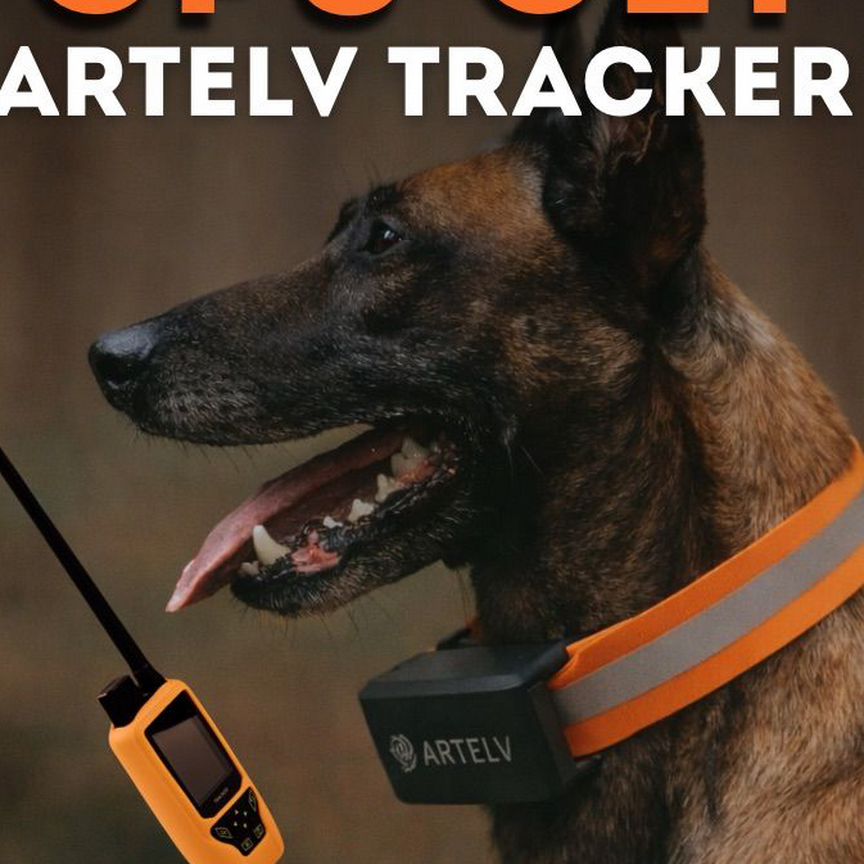 Gps ошейник artelv tracker 0,5w