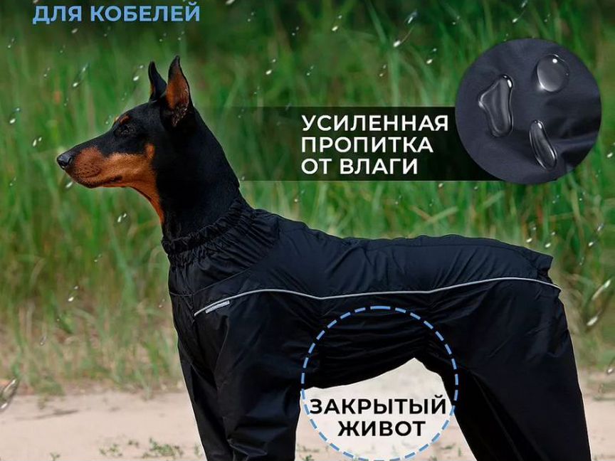 Дождевик для собаки