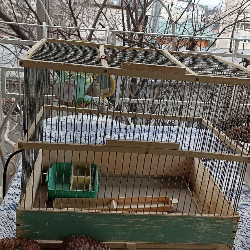 Клетка для попугая, птиц