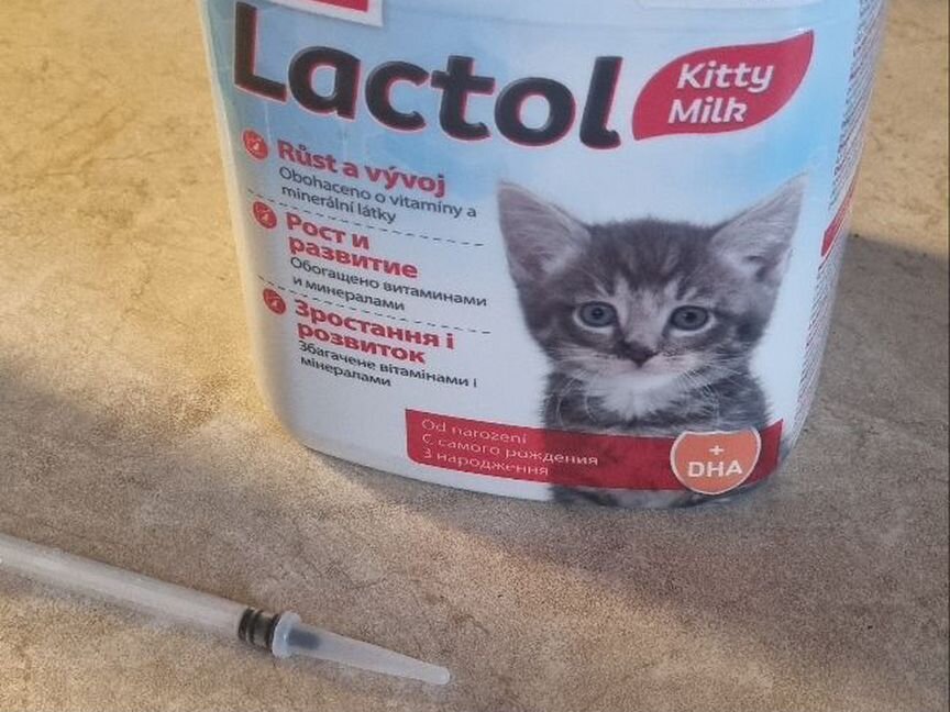 Молочная смесь для котят