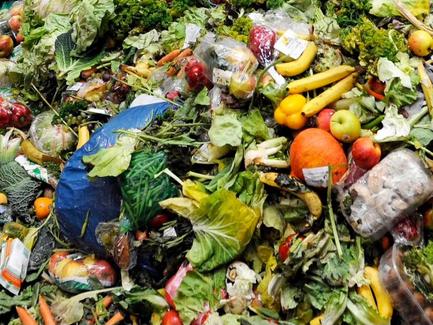 Пищевые отходы