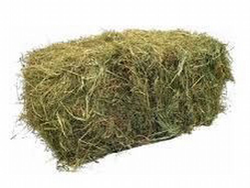 Сено кормовое для домашних животных