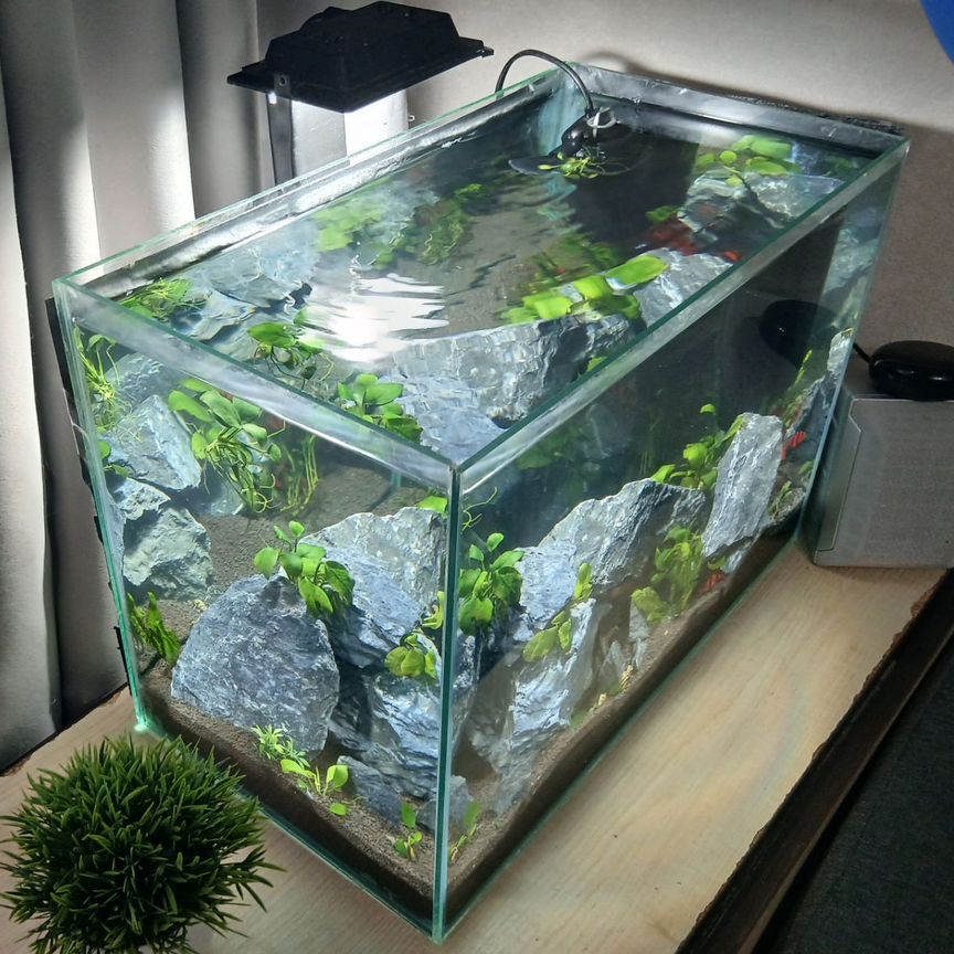 Аквариум 50 литров