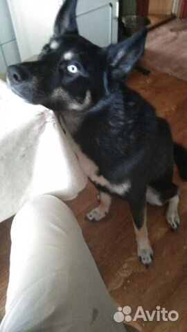 Мальчик по имени Ричард