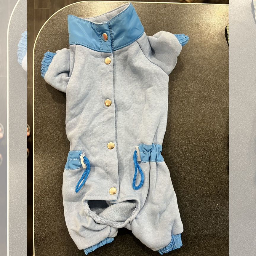 Костюмчики для маленьких собак