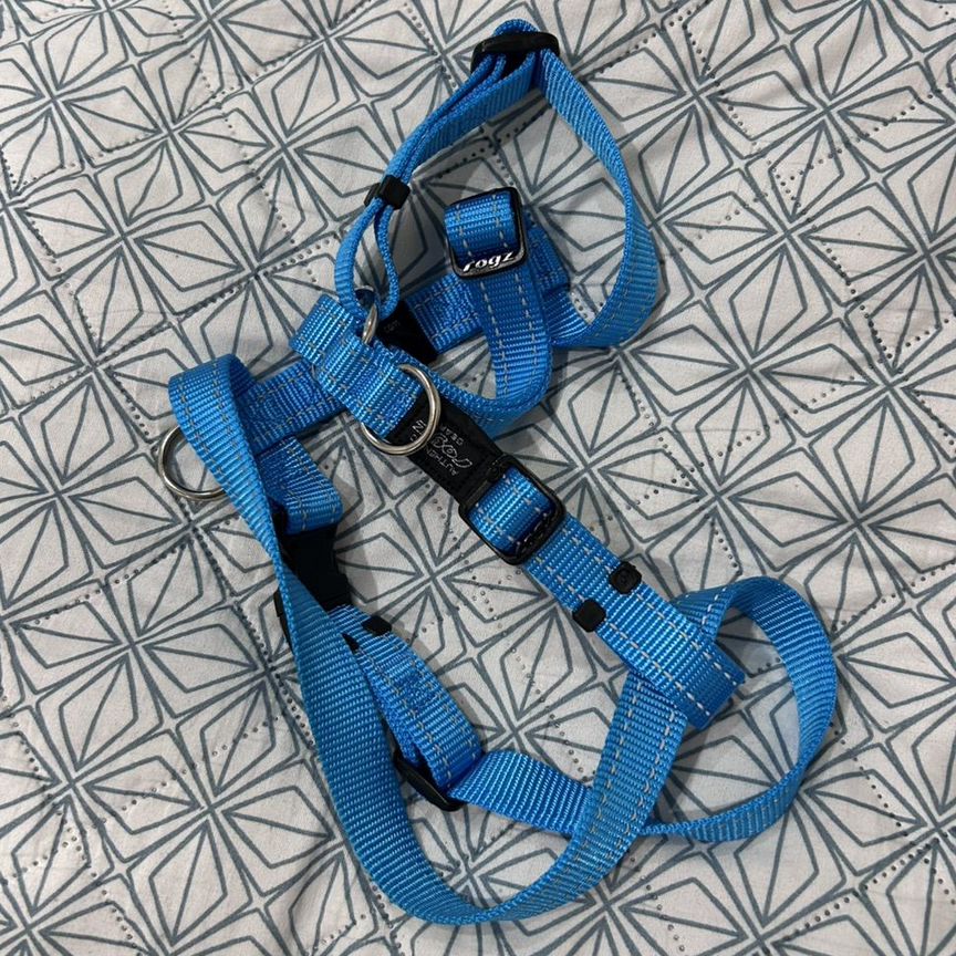 Шлейка на средние породы