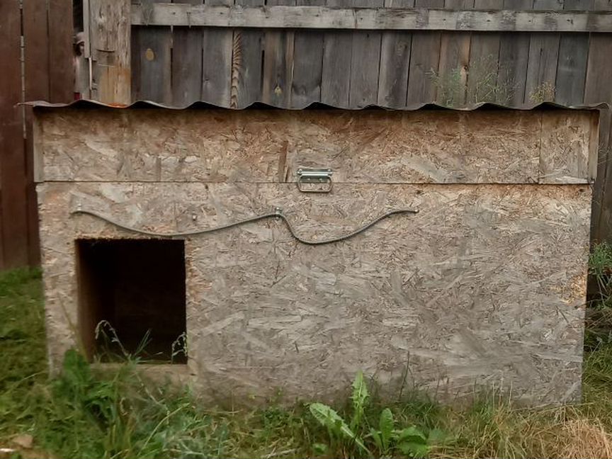 Будка для собаки