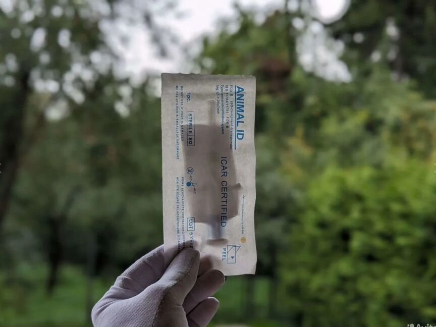 Чип для животных 1.25х7 (кошки собаки) опт и розн