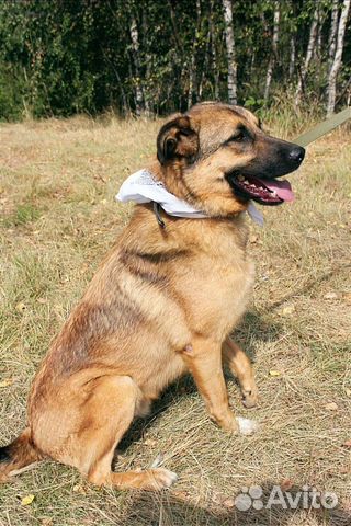 Бурбона никто не замечает