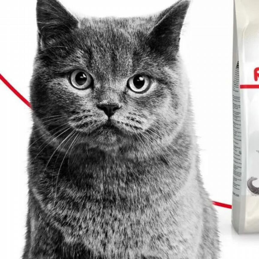 Сухой корм для кошек Royal Canin Ageing 12 