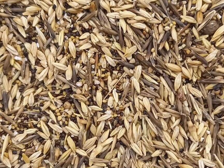 Зерноотходы Брединский район