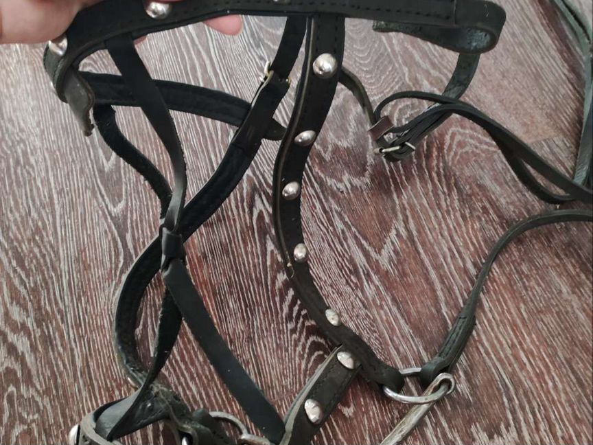 Сбруя Узда вожжи для лошади