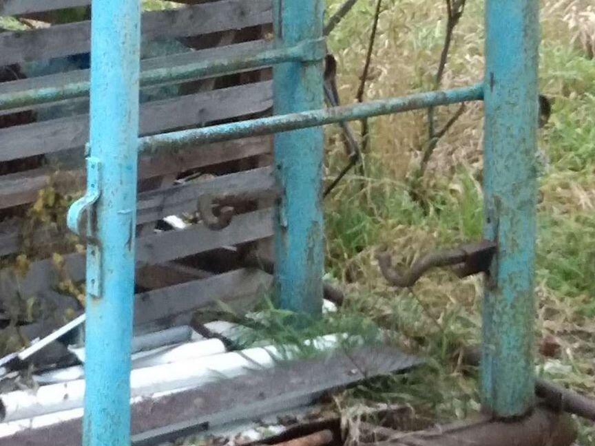 Станок для подковки лошадей