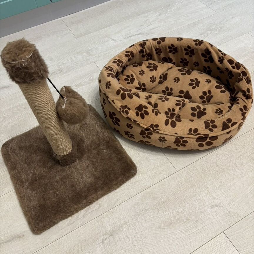 Когтеточка и лежанка