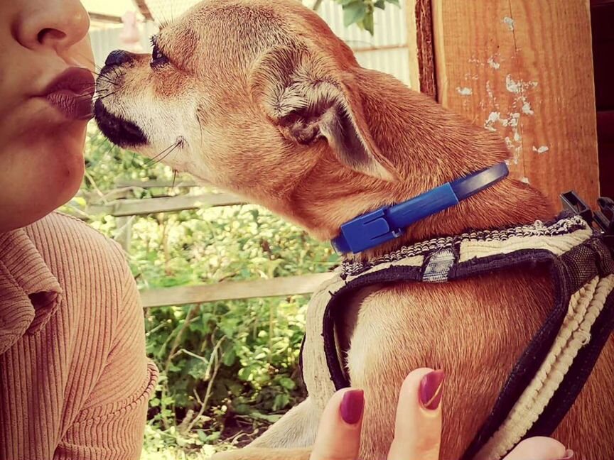 Молодой горячий мальчик приглашает на 1 вязку