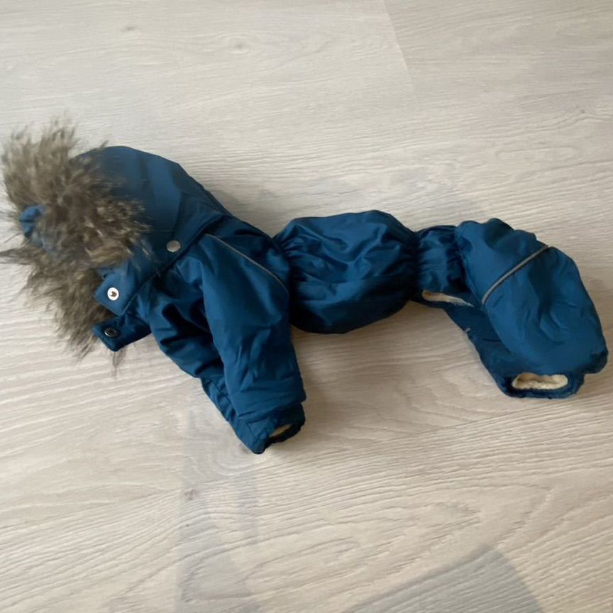 Зимний комбинезон для маленькой собаки