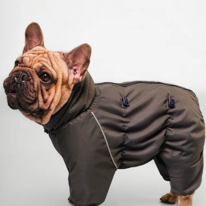 Зимний комбинезон для французского бульдога, мопса