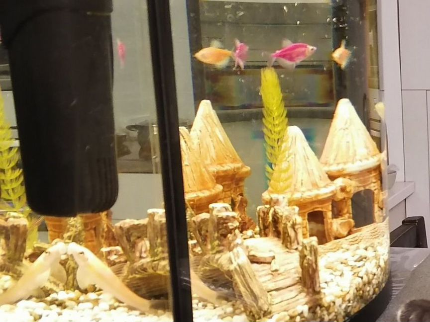 Аквариум 18л