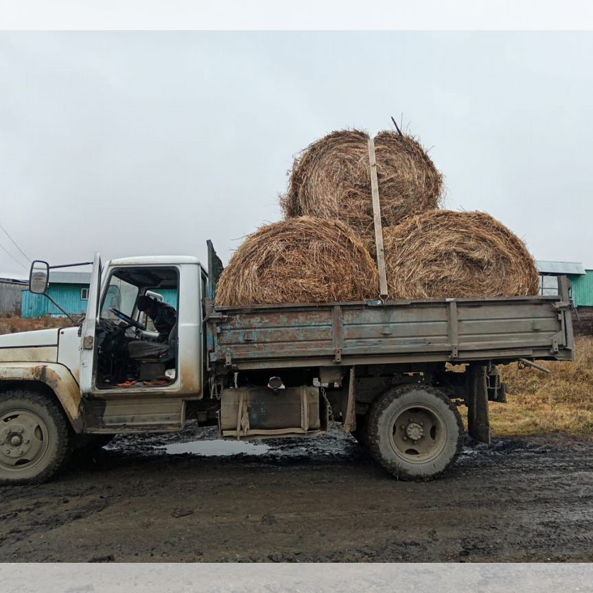 Сено в рулонах